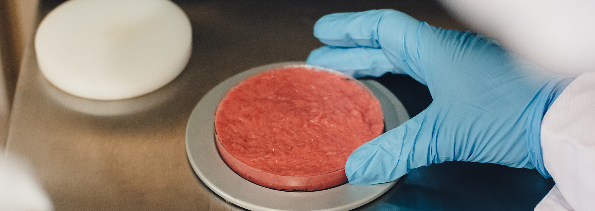 Mechanically deboned meat (MDM) - BHJ