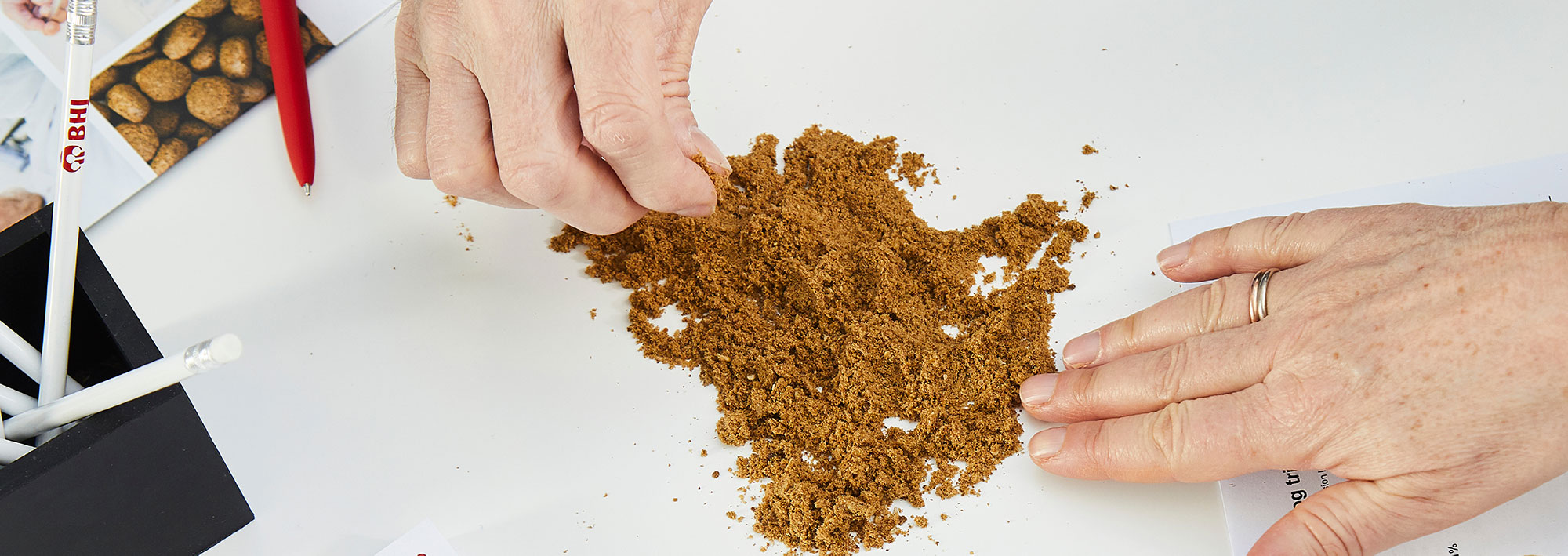 Processed animal proteins (PAPs) for dry pet food - BHJ